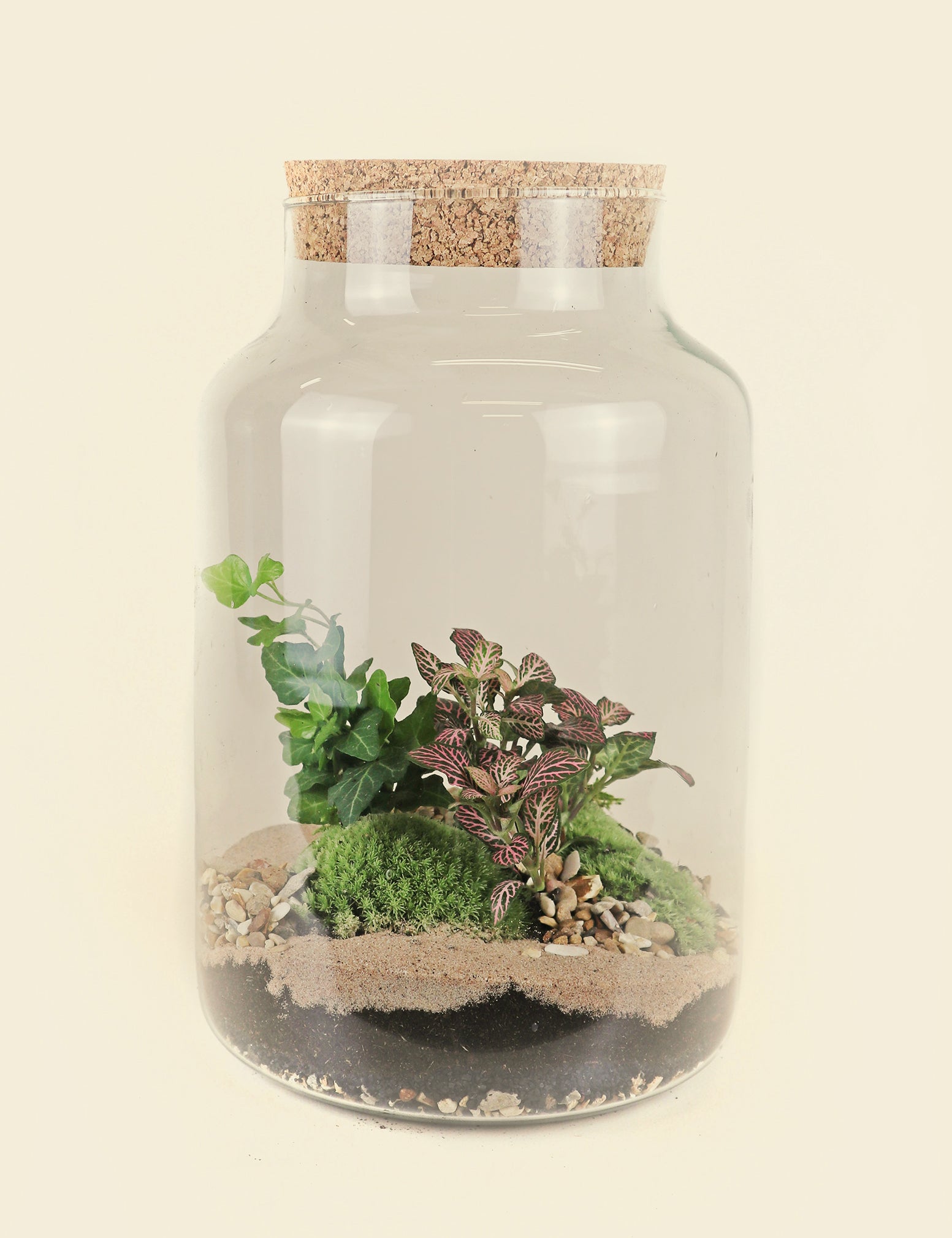 Terrarium Kit – DIY Moss Garden in Glass Jar